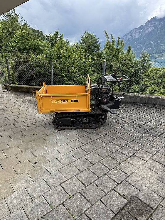 Mini Dumper (Gebraucht) in Unterterzen für CHF 1400 – nur Abholung auf Ricardo kaufen