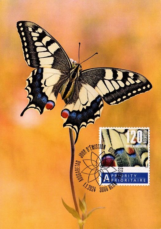 Maximumkarte Naturmuster - Schmetterling | Kaufen auf Ricardo