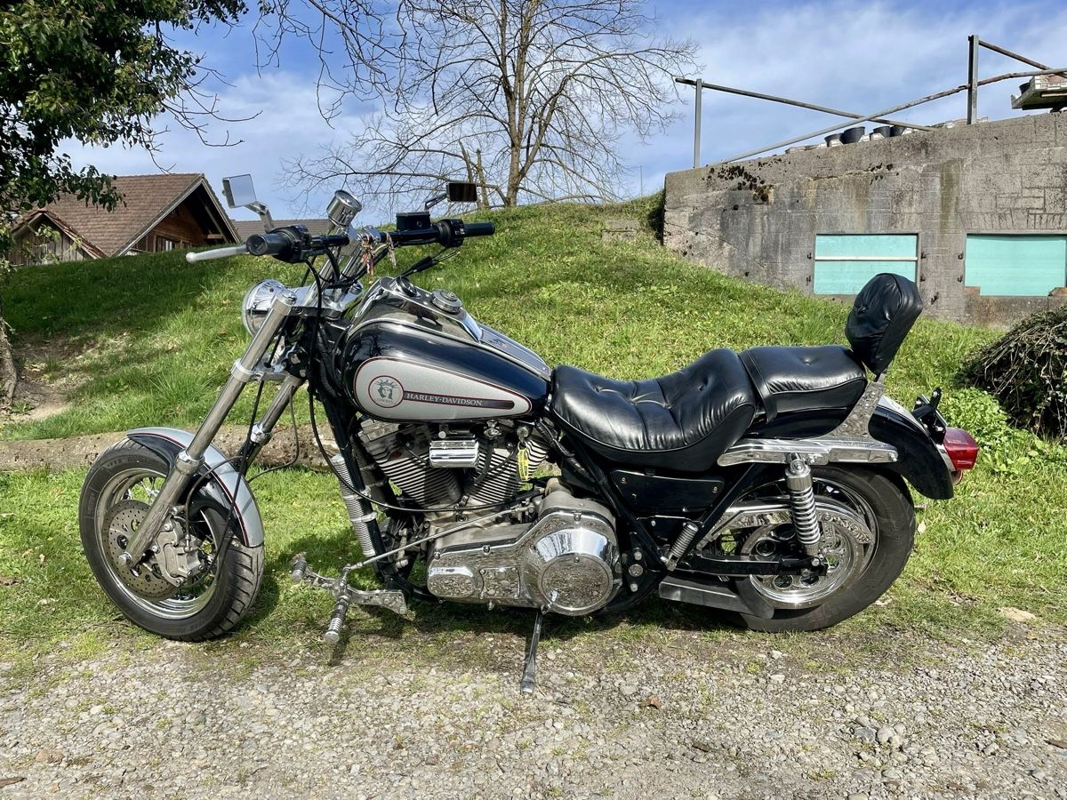 Harley-Davidson FXRS 1340, Jg. 1986 - Ein Klassiker! (Gebraucht) in ...