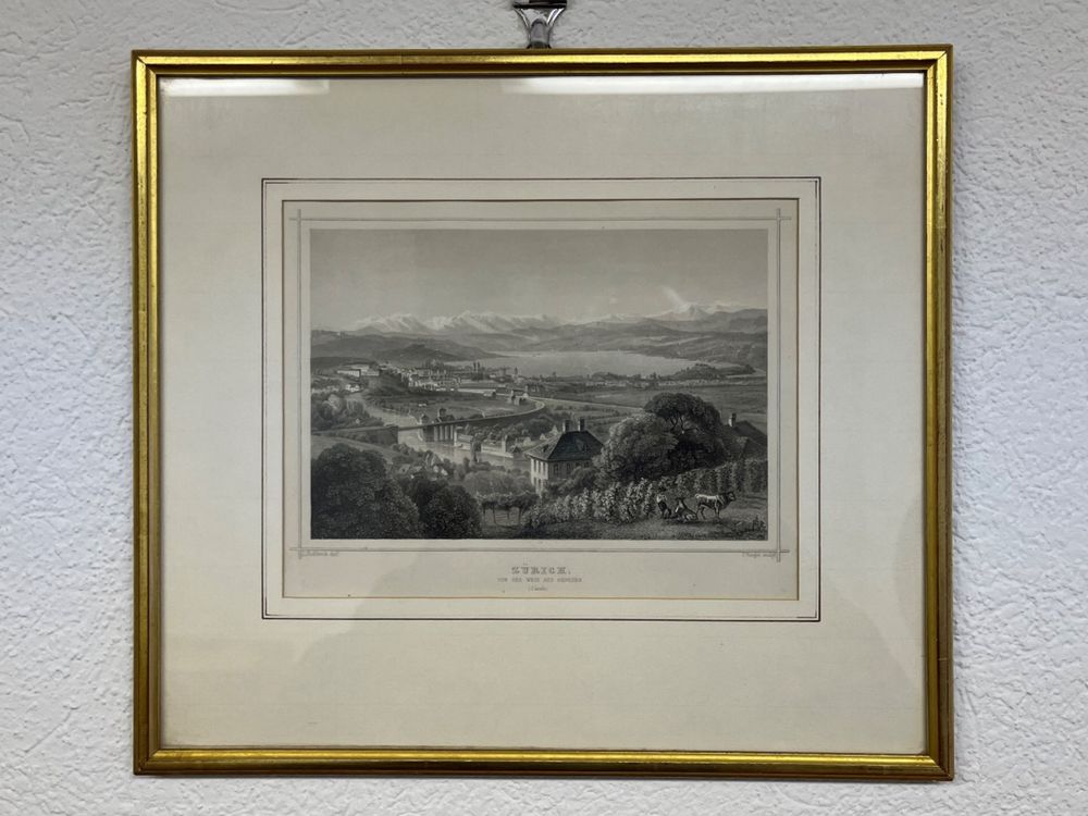 Zürich, Stich, Blick von Weid, historisch, Panorama mit See (Gebraucht ...