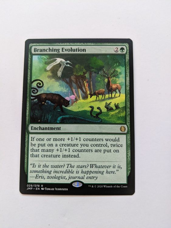 Branching Evolution - EN | Kaufen auf Ricardo