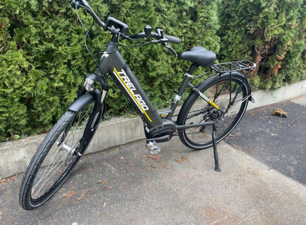 E-Bike Trelago Dinal 2 (Gebraucht) in Lutzenberg für CHF 450 – nur Abholung auf Ricardo kaufen