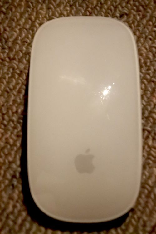 Apple Mac Magic Mouse 1. Generation (Gebraucht) in Schänis für CHF 15 – mit Lieferung auf ...