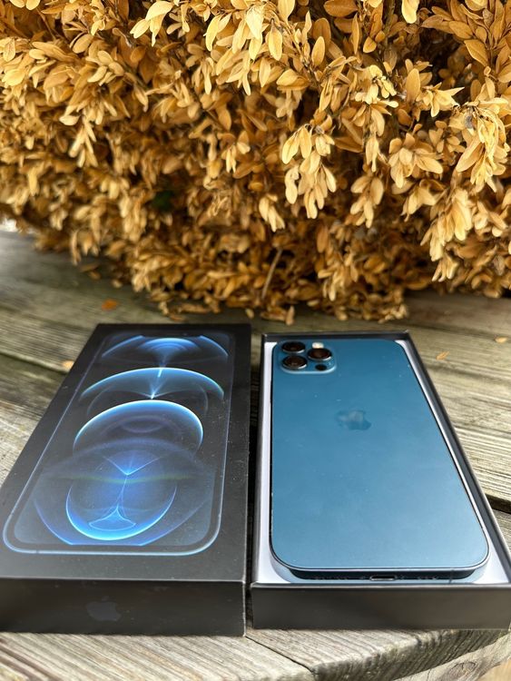 iPhone 12 Pro Pacific Blue 256GB (Gebraucht) in Thun für CHF 600 – mit ...