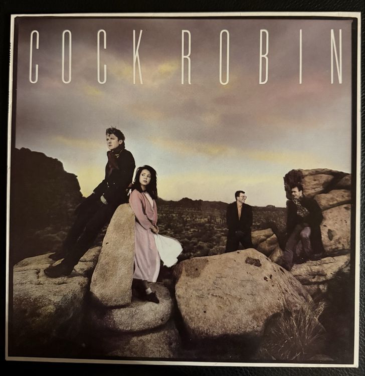 Cock Robin LP Schallplatte - Vinyl (Gebraucht) in Goldach für CHF 15 ...