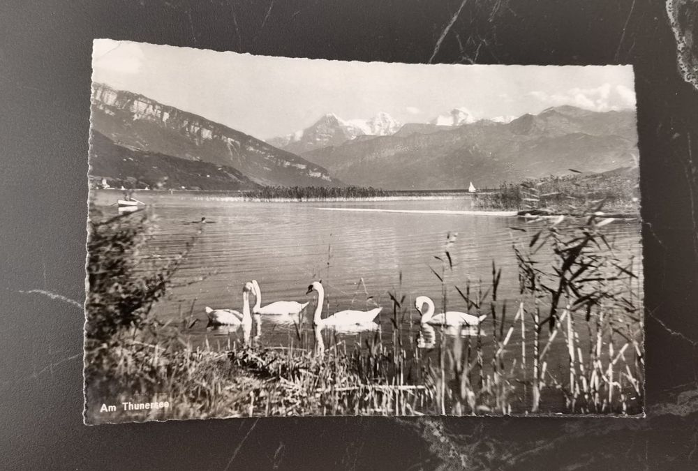 alte AK Am Thunersee gelaufen ( (Gebraucht) in Kaiseraugst für CHF 1 – mit Lieferung auf Ricardo ...