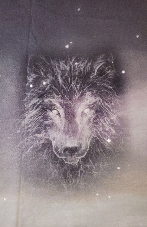 Wolf-Panel Sommersweat - French Terry 2m (Neu (gemäss Beschreibung)) in ...