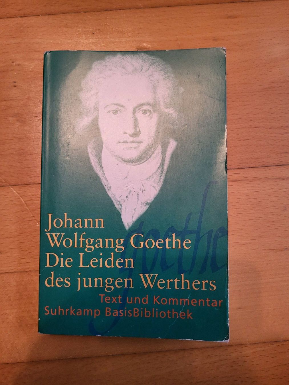 Die Leiden des jungen Werthers - Johan Wolfgang Goethe (Gebraucht) in ...