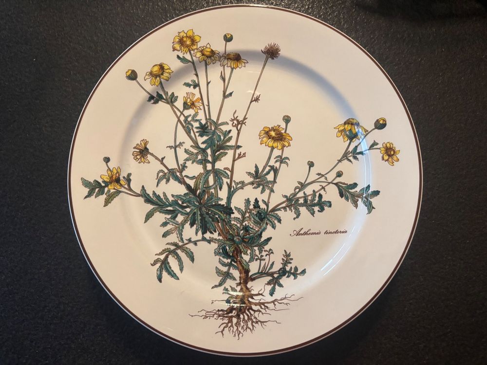 Villeroy&∫och, Speiseteller 26 cm, Botanica 5 Stuck (Gebraucht) in ...