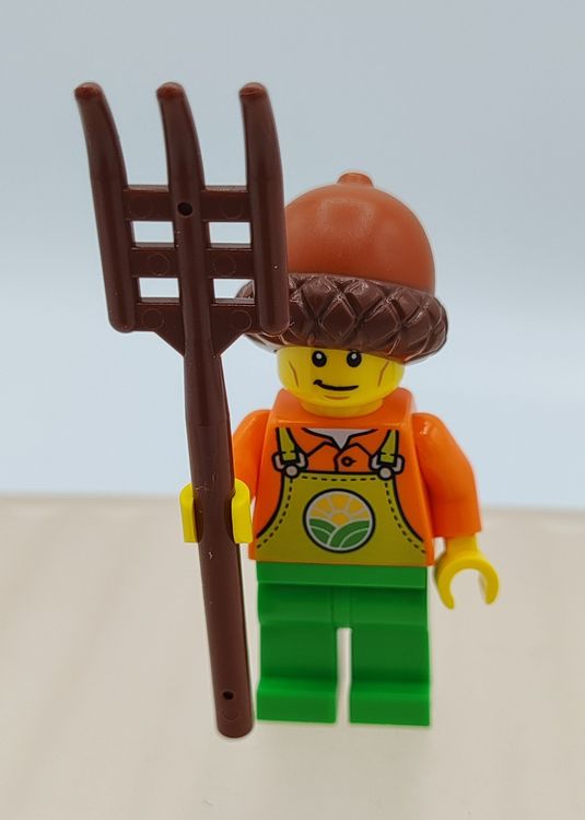 Lego Minifigur aus dem Lego Tower, Bauer mit Eichelhut (Neu und ...