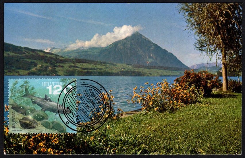 Maximumkarte EUROPA - Thunersee-Balchen (Neu (gemäss Beschreibung)) in ...