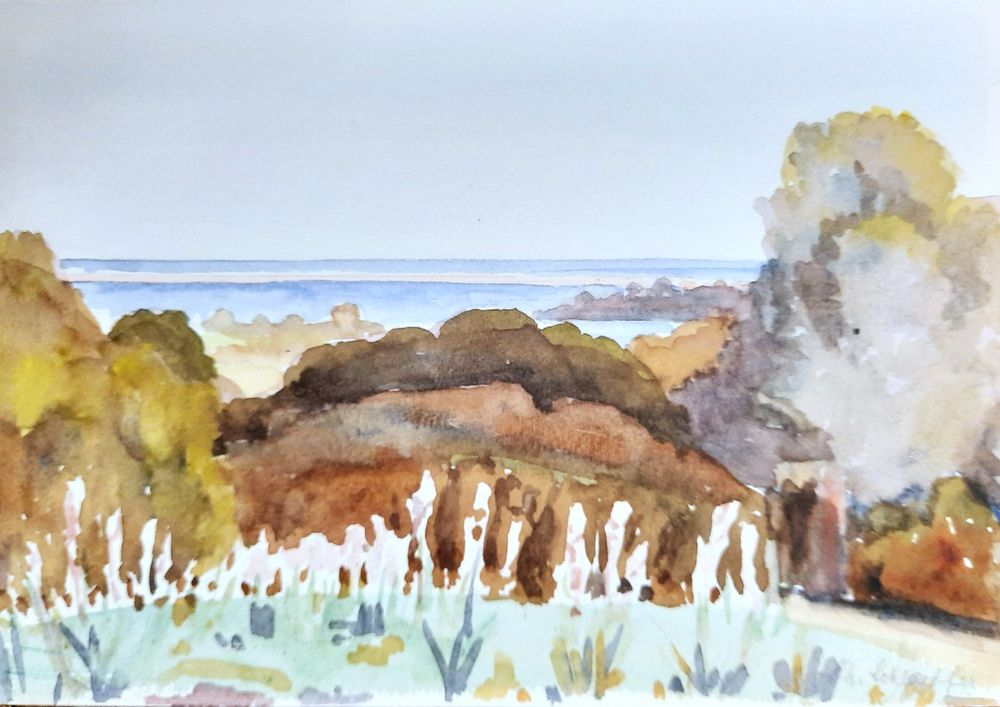 ️ ️ ️ "CHARLOTTE SCHLAEPFER" SUPERBE AQUARELLE SIGNÉE! (Gebraucht) in Villeneuve für CHF 1 – mit ...