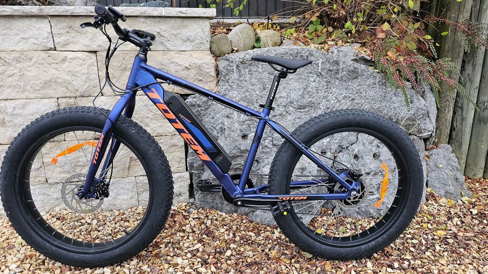 Totem E-Bike Fatbike Wild Boar Fabrikneu!!! (Neu (gemäss Beschreibung)) in Bazenheid für CHF ...