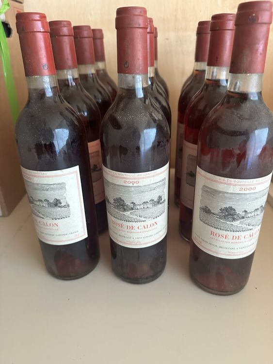 12 rose de calon 2000 lot 3 pf (Neuf (Voir description)) à Bellevue ...