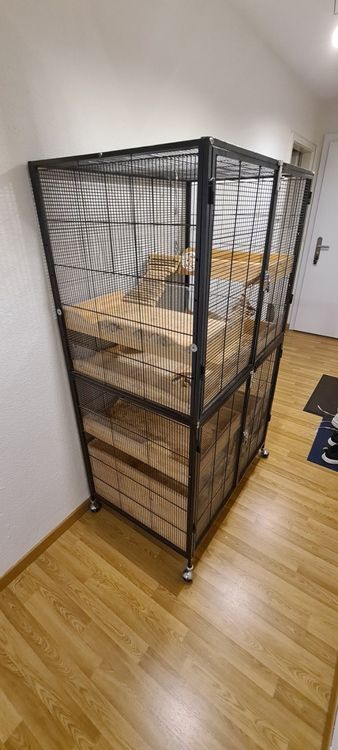 Käfig (Gebraucht) in für CHF 50 – nur Abholung auf Ricardo kaufen