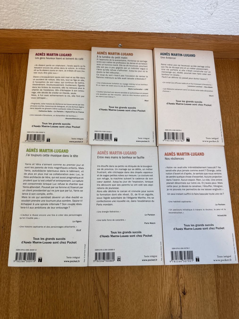 Lot de 6 Livres d’Agnès Martin-Lugand - Lot livres (D'occasion) à Horw ...