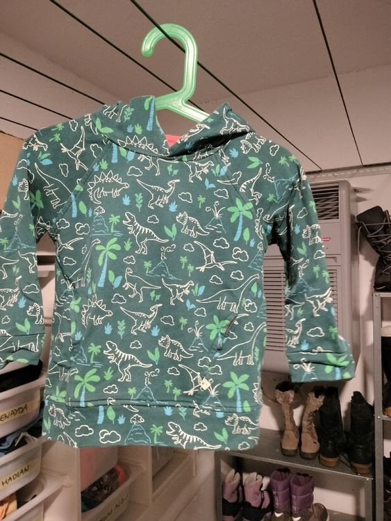 Kapuzenjäckli Frugi gr 2-3 Jahre Dinosaurier (Gebraucht) in Gordevio ...
