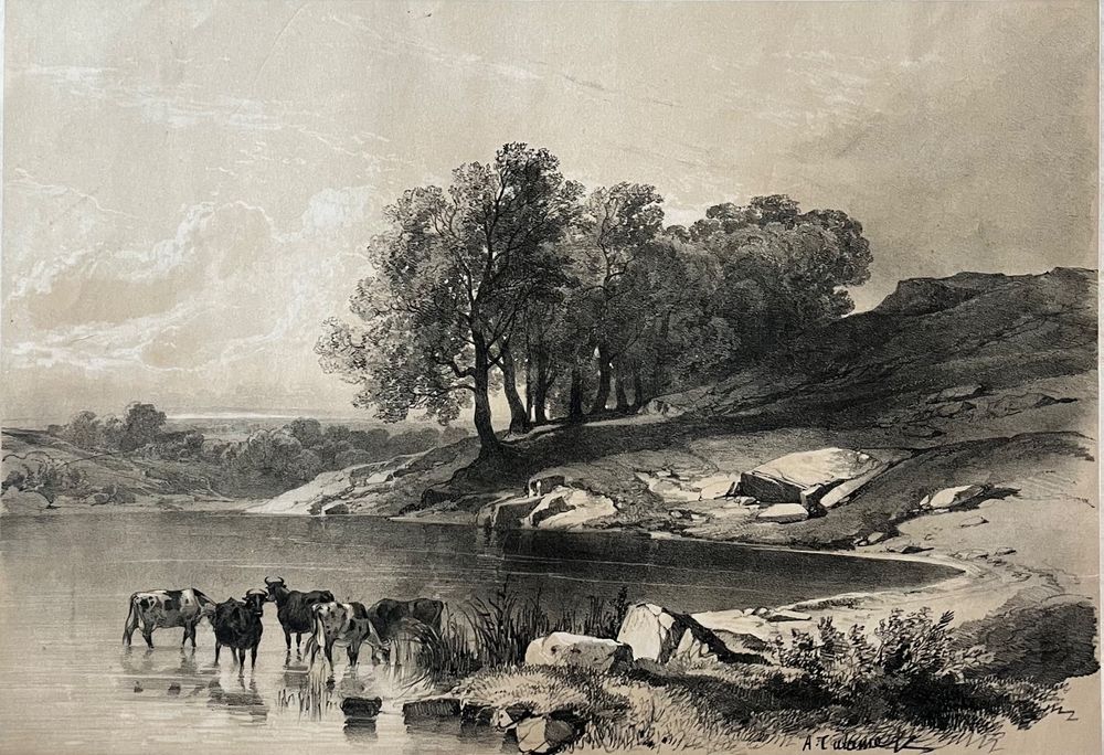 Alexandre Calame (1810-1864) Litho. mit Blindzeichen (Gebraucht) in für ...