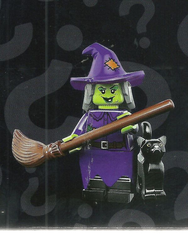 WACKY WITCH LEGO MINIFIGURE 71010 serie : MONSTERS new open | Kaufen ...