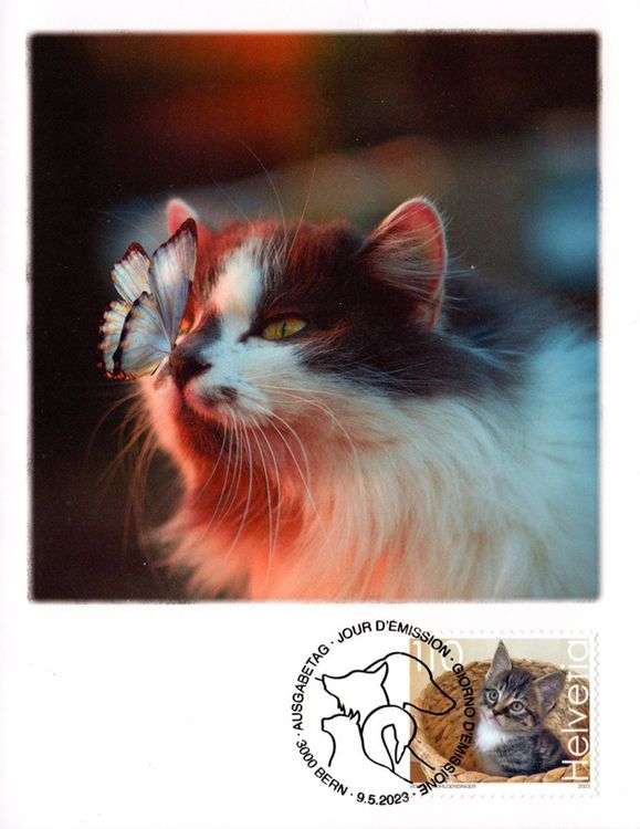 Maximumkarte Süsse Tiere - Katze (Neu (gemäss Beschreibung)) in Dottikon für CHF 4 – mit ...