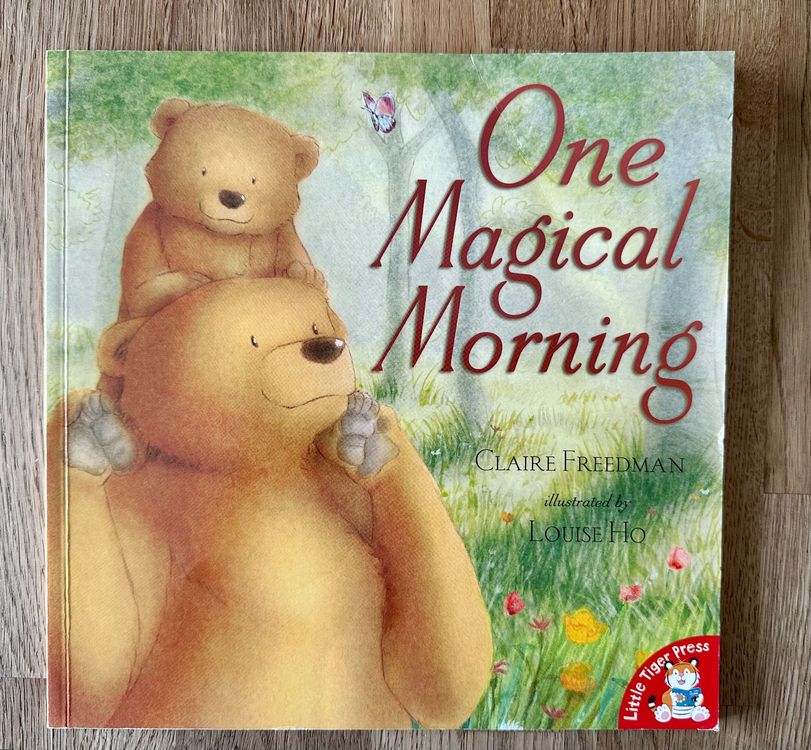 Kinderbuch englisch: One Magical Morning (Gebraucht) in Amriswil für ...