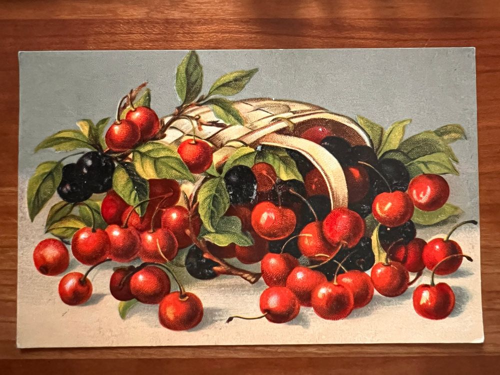 Kunstkarte Kirschen 1919 (P511) | Kaufen auf Ricardo