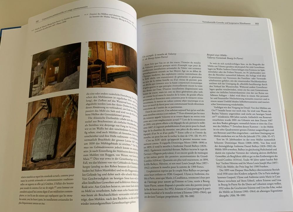 Die Bauernhäuser des Kantons Wallis - Werner Bellwald (Gebraucht) in ...