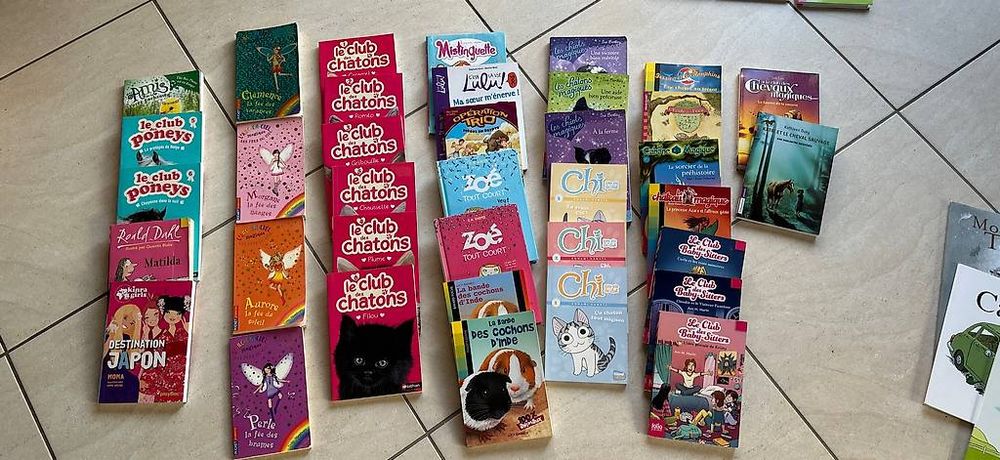 Lot de 55 livres filles 6-10 ans (D'occasion) à Veyrier pour CHF 30 ...