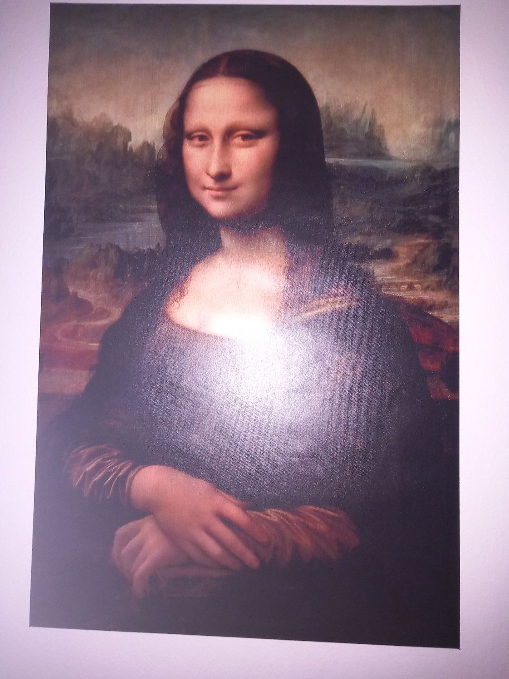 Mona Lisa Kunstdruck - Da Vinci Klassiker für Dein Zuhause! (Gebraucht ...