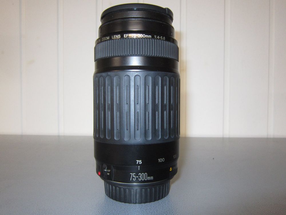 Canon EF 75-300 (Gebraucht) in Bodio TI für CHF 69 – mit Lieferung auf ...