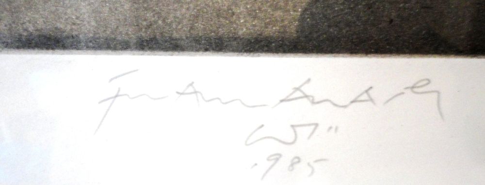 Franz Anatol Wyss Litho 10/100 (Neu (gemäss Beschreibung)) in zurich für CHF 350 – nur Abholung ...