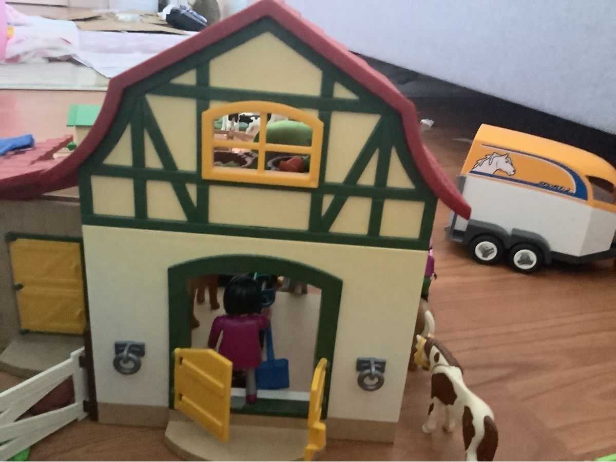Playmobil Country Pony Farm 5684 mit zusätzlichen Tieren (Gebraucht) in ...