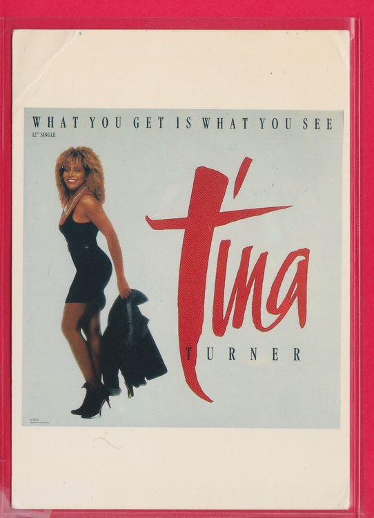 ROCKMUSIKERIN TINA TURNER | Kaufen auf Ricardo