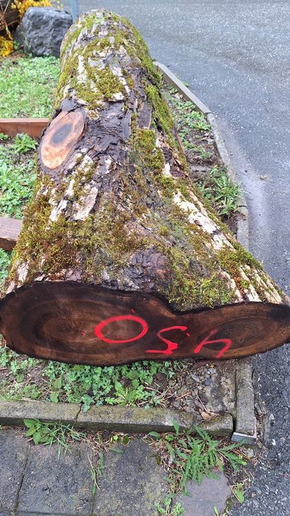 Nussholz Stamm Nuss Holz Nussbaumholz drechseln basteln (Neu (gemäss ...