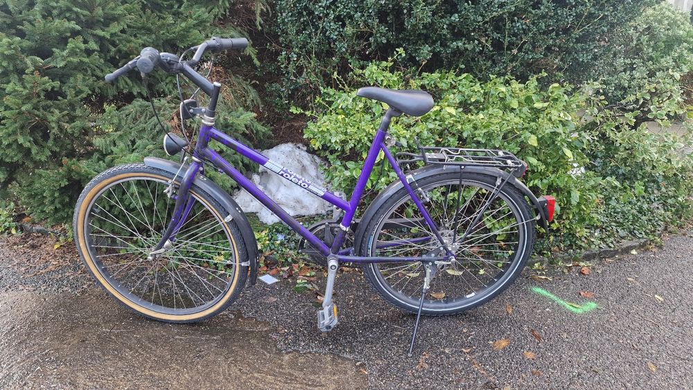 Fahrrad Roleto (Gebraucht) in Münchenstein für CHF 70 – nur Abholung auf Ricardo kaufen