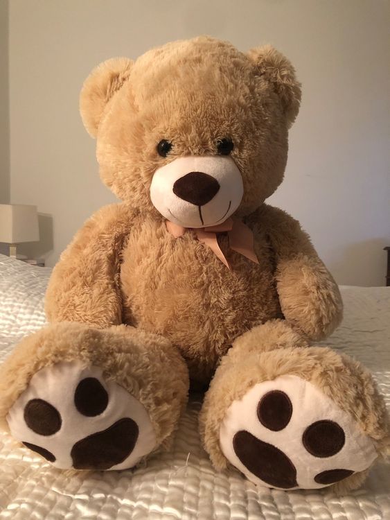 GROSSE TEDDYBÄR (Gebraucht) in Zürich für CHF 40 – nur Abholung auf ...