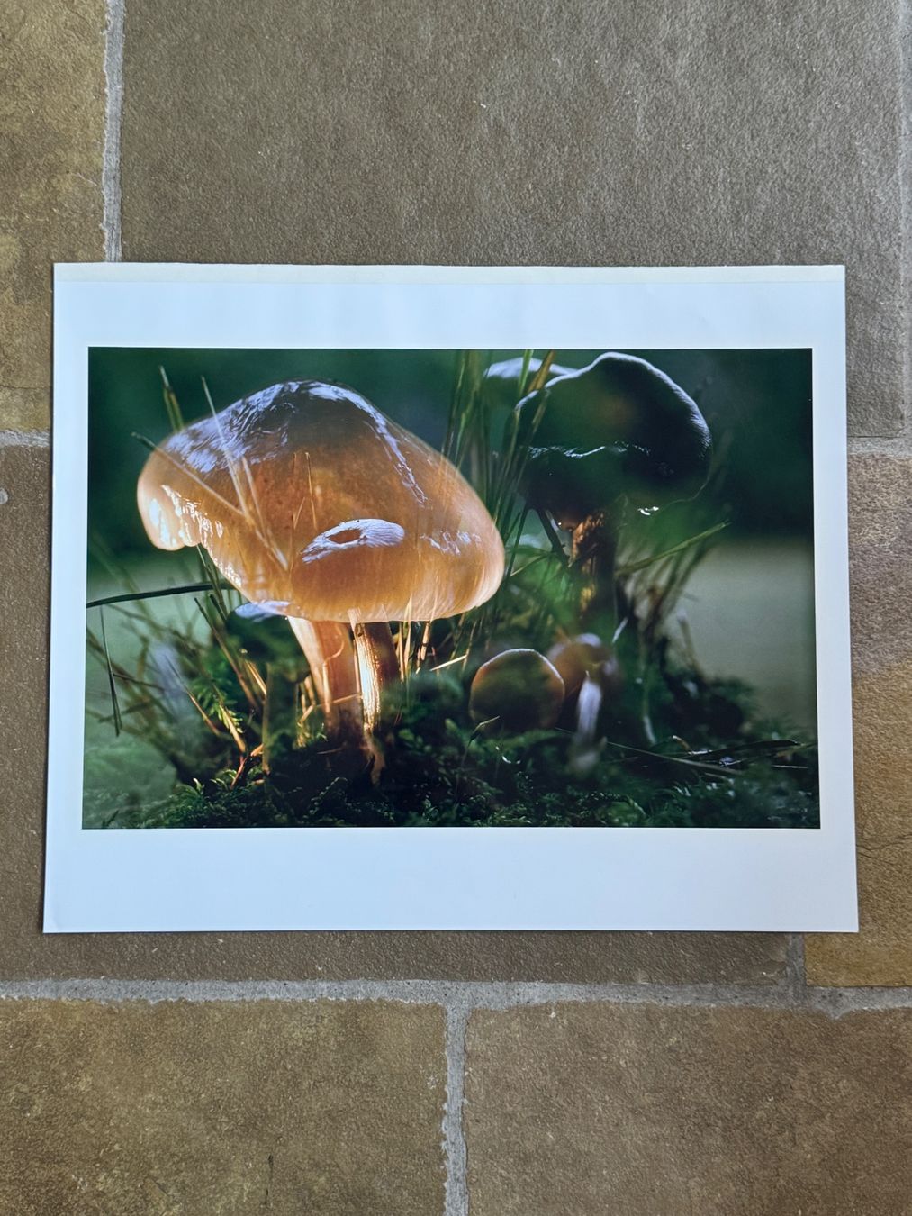 Peter Fischli & David Weiss Fotografie (Gebraucht) in Gockhausen für ...