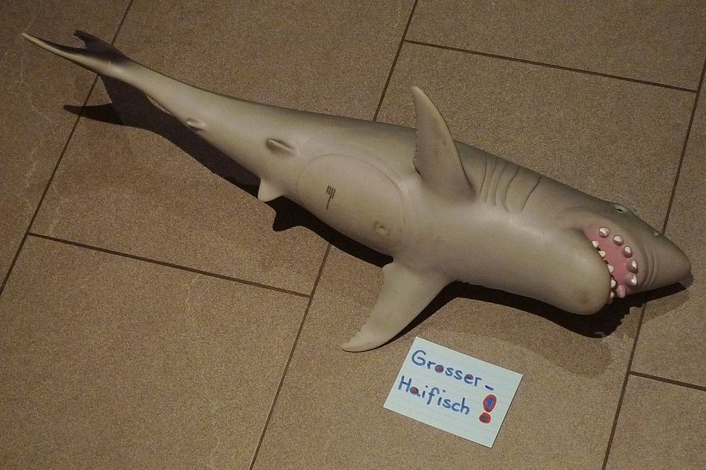 Grosser-Haifisch! (Gebraucht) in Bern für CHF 35 – nur Abholung auf ...