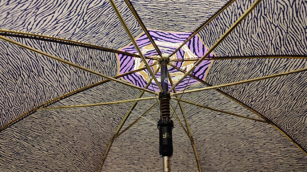 Edler Retro Regenschirm | New Tomas (Gebraucht) in Aarau für CHF 25 ...