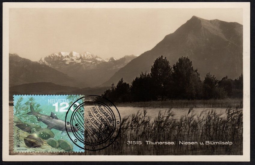 Maximumkarte EUROPA - Thunersee-Balchen (Neu (gemäss Beschreibung)) in Dottikon für CHF 5 – mit ...