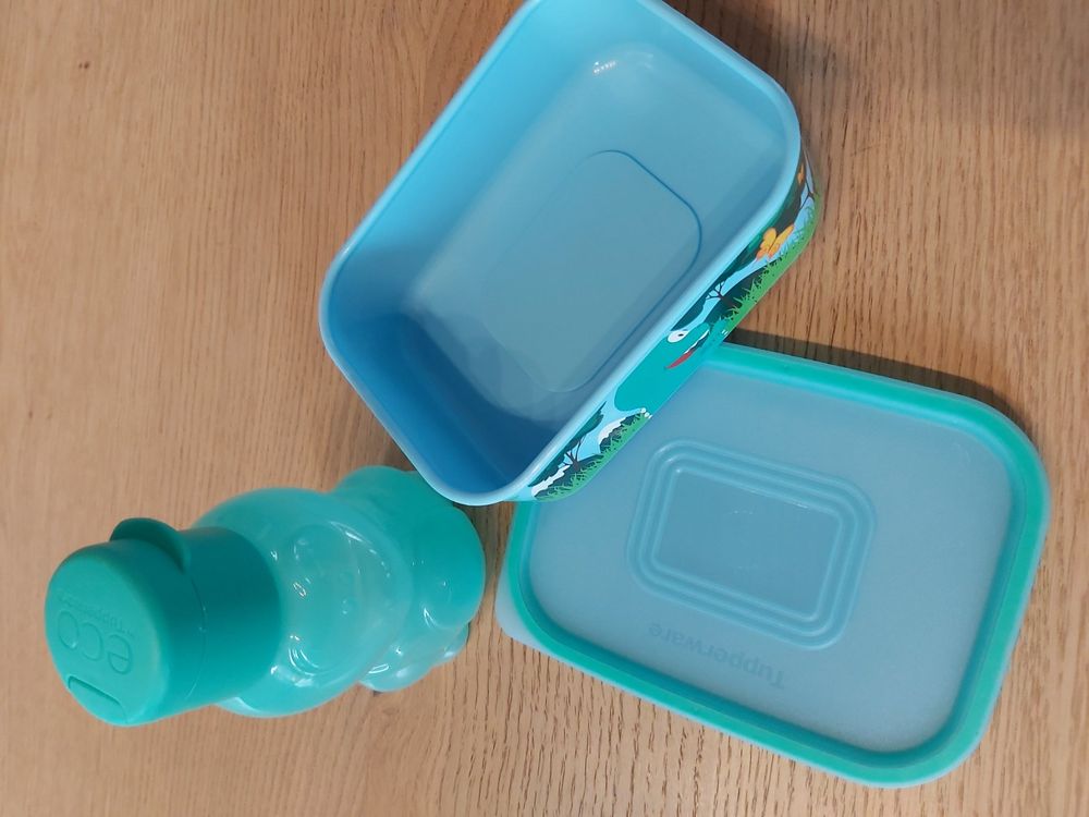 Tupperware Dino Flasche und Znüni Box (Gebraucht) in Unterkulm für CHF ...