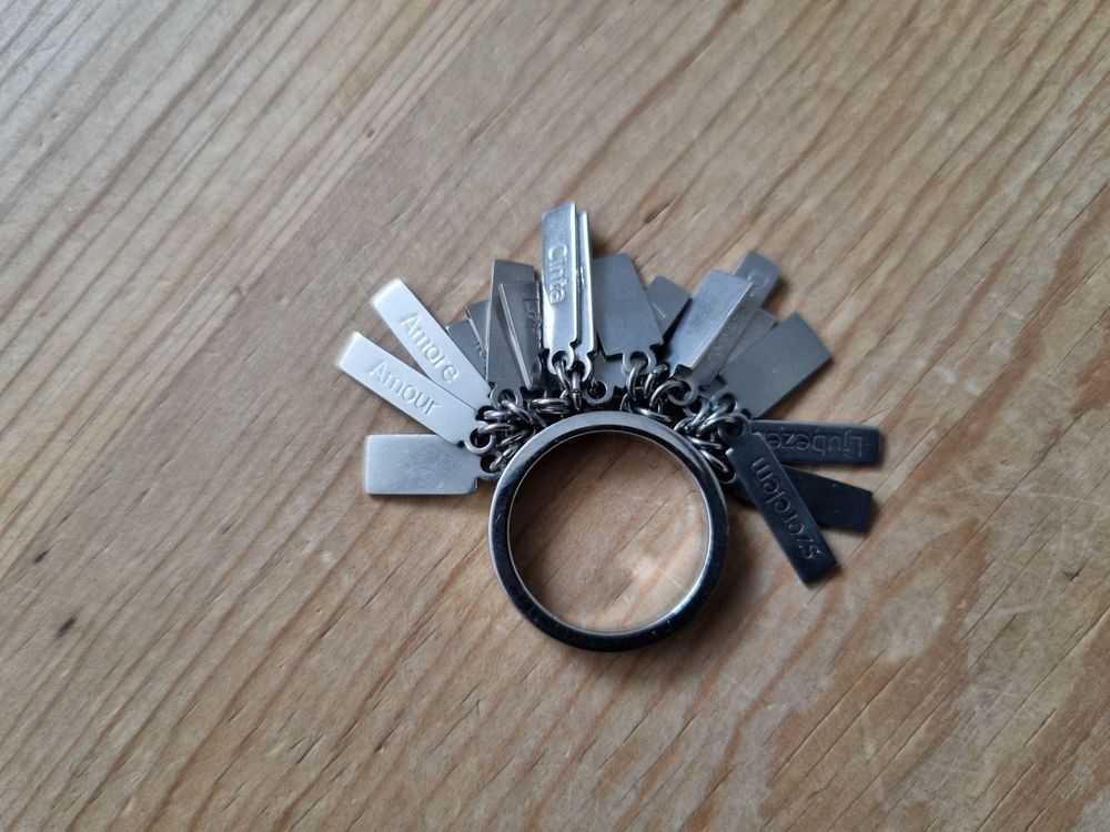 Original Swatch Edelstahl Love Explosion Ring Liebe (Neu (gemäss ...