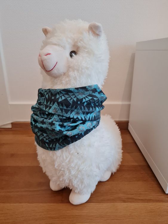 Buff | Kaufen auf Ricardo