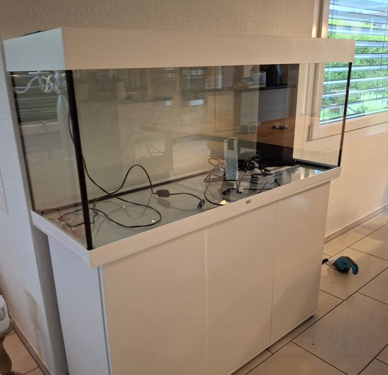 Grosses Aquarium Juwel Rio 250 Liter - Top Zustand! (Gebraucht) in ...