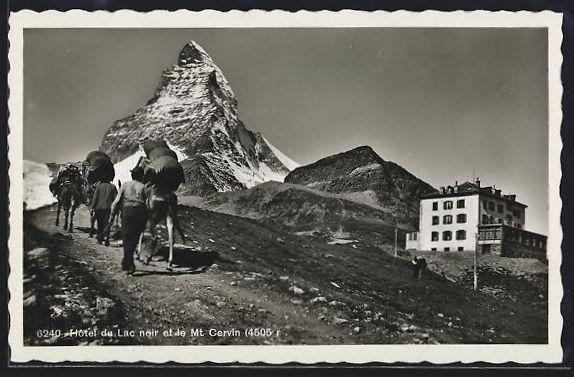Zermatt, Hotel du Lac noir et de Mt. Cer (Gebraucht) in Berlin für CHF ...