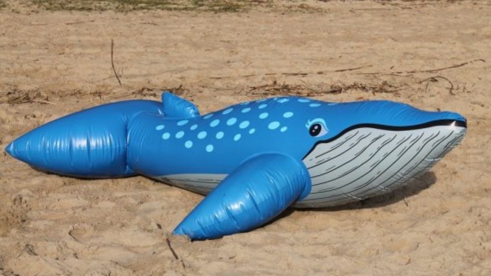 Aufblasbarer Wal (Neuf avec emballage d'origine) à Hermetschwil ...