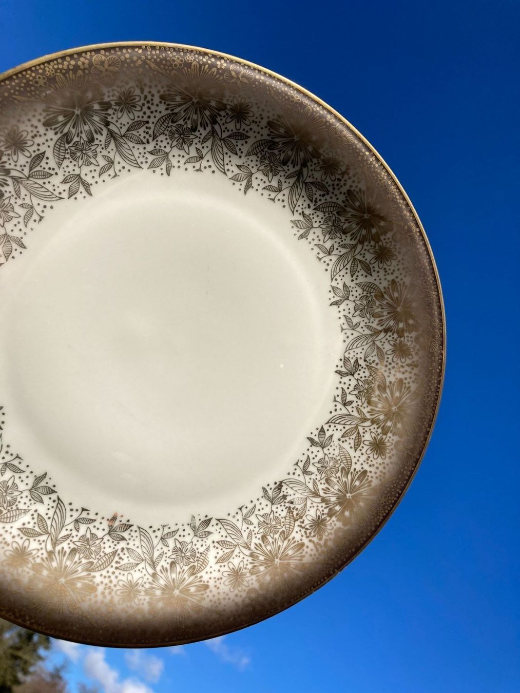 BAVARIA TELLER KUCHENTELLER GEBÄCKTELLER SAMMELTELLER (Gebraucht) in ...