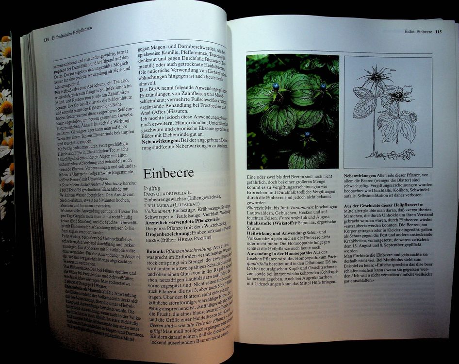 Apotheker M. Pahlow Das grosse Buch der Heilpflanzen (Gebraucht) in ...