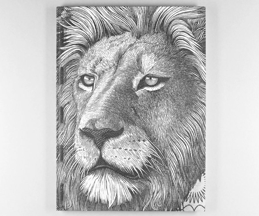 Prill Vieceli Cremers – Money (Buch), Edition Patrick Frey (Gebraucht ...