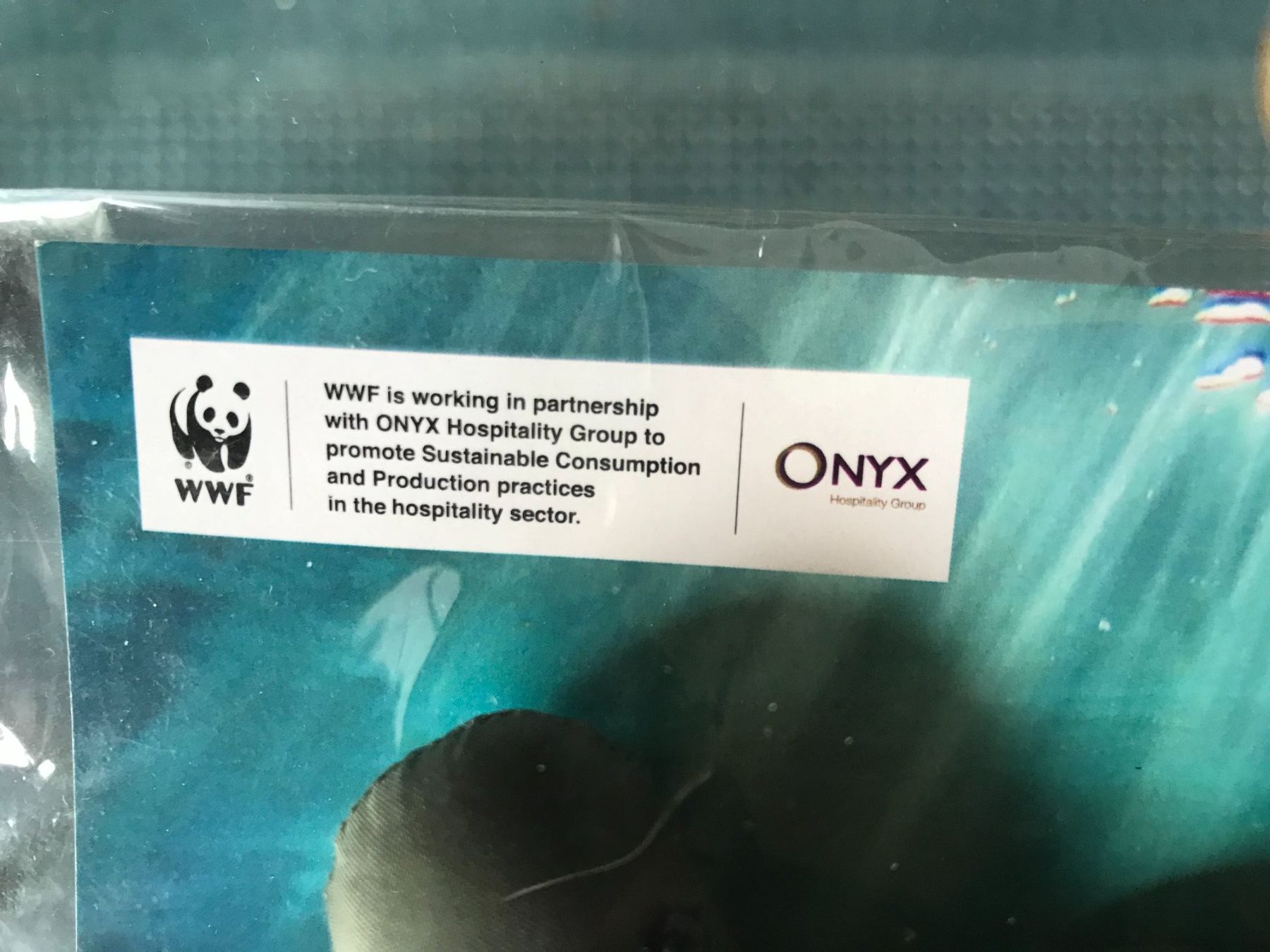2 SCHILDKRÖTEN, ORIGINALVERPACKT, WWF SUPPORT (Neu und originalverpackt ...